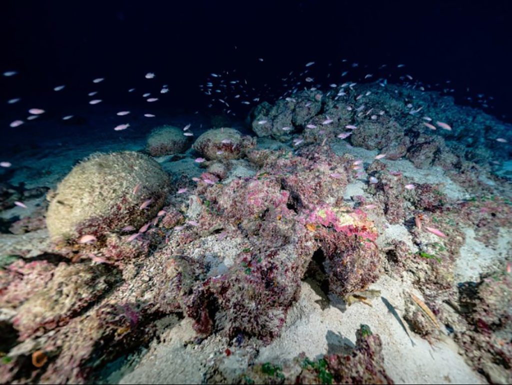 You can dive amongst Roman ruins in Malta's new underwater park - OFFSHORE
