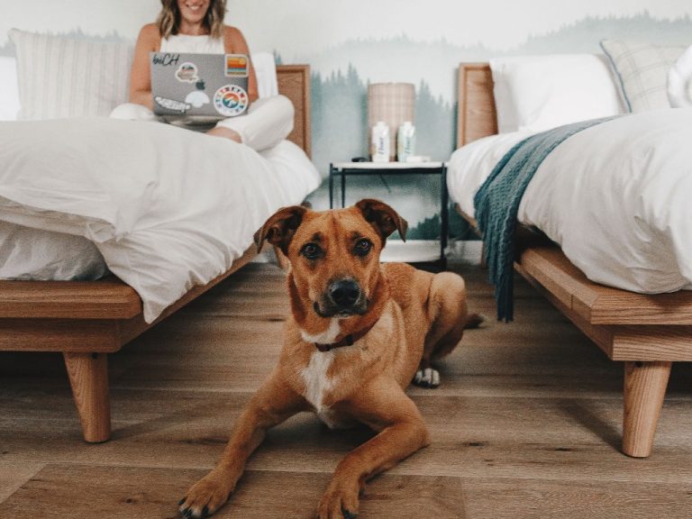 Luxury motels are trending—but should you book a stay? - Offshore